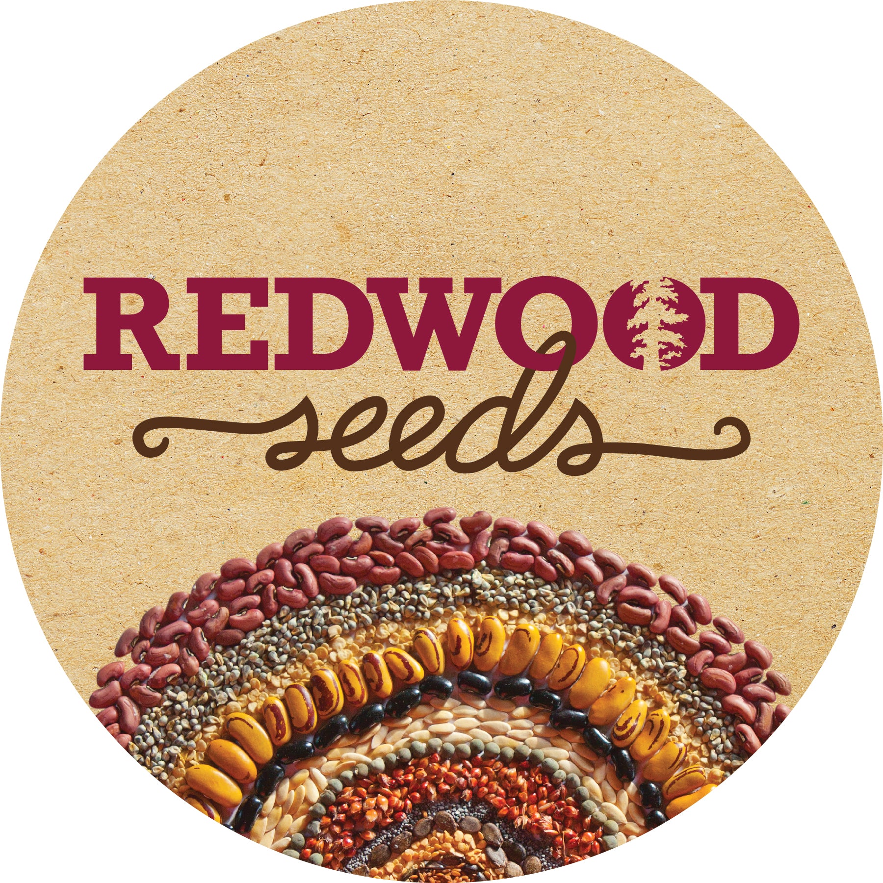 Redwood Seeds