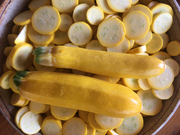 Golden Zucchini – Redwood Seeds