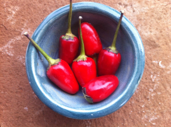 Peruvian Purple Hot Pepper – Redwood Seeds