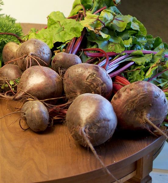 Lutz Green Leaf Beet – Redwood Seeds