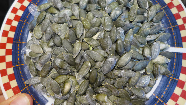Styrian Hulless Seeded Pumpkin – Redwood Seeds